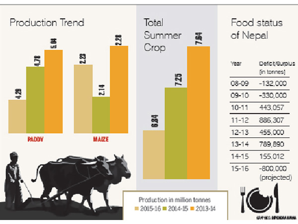 Paddy output projected to fall 10pc