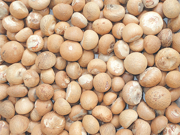 Betel nut smuggling into India drops