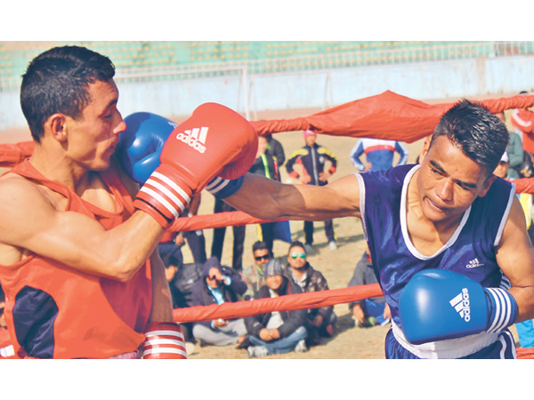 Ten boxers picked up