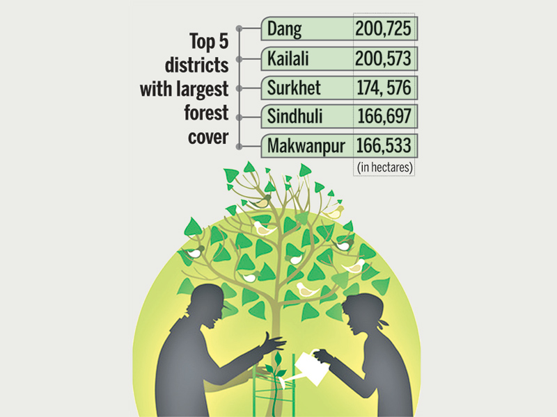 Forest users make a pitch for sustainability