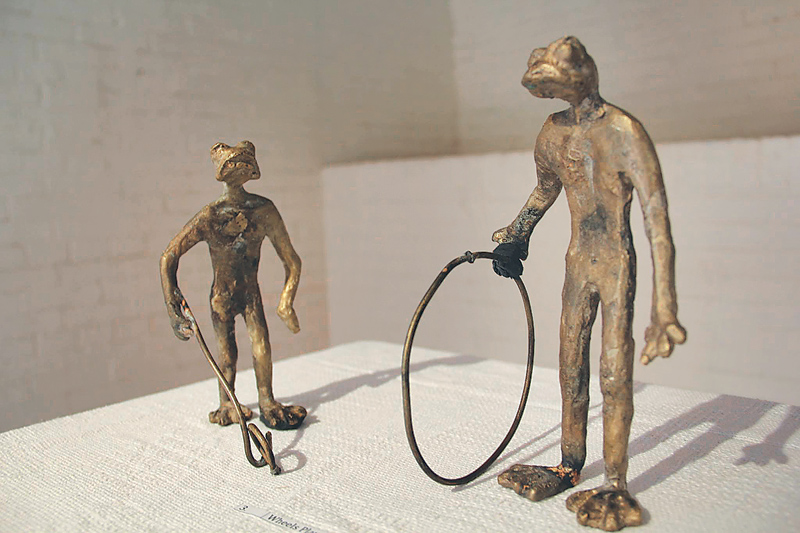 Frogs galore at Taragaon