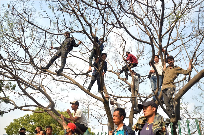Ghode Jatra observed at Tundikhel ground