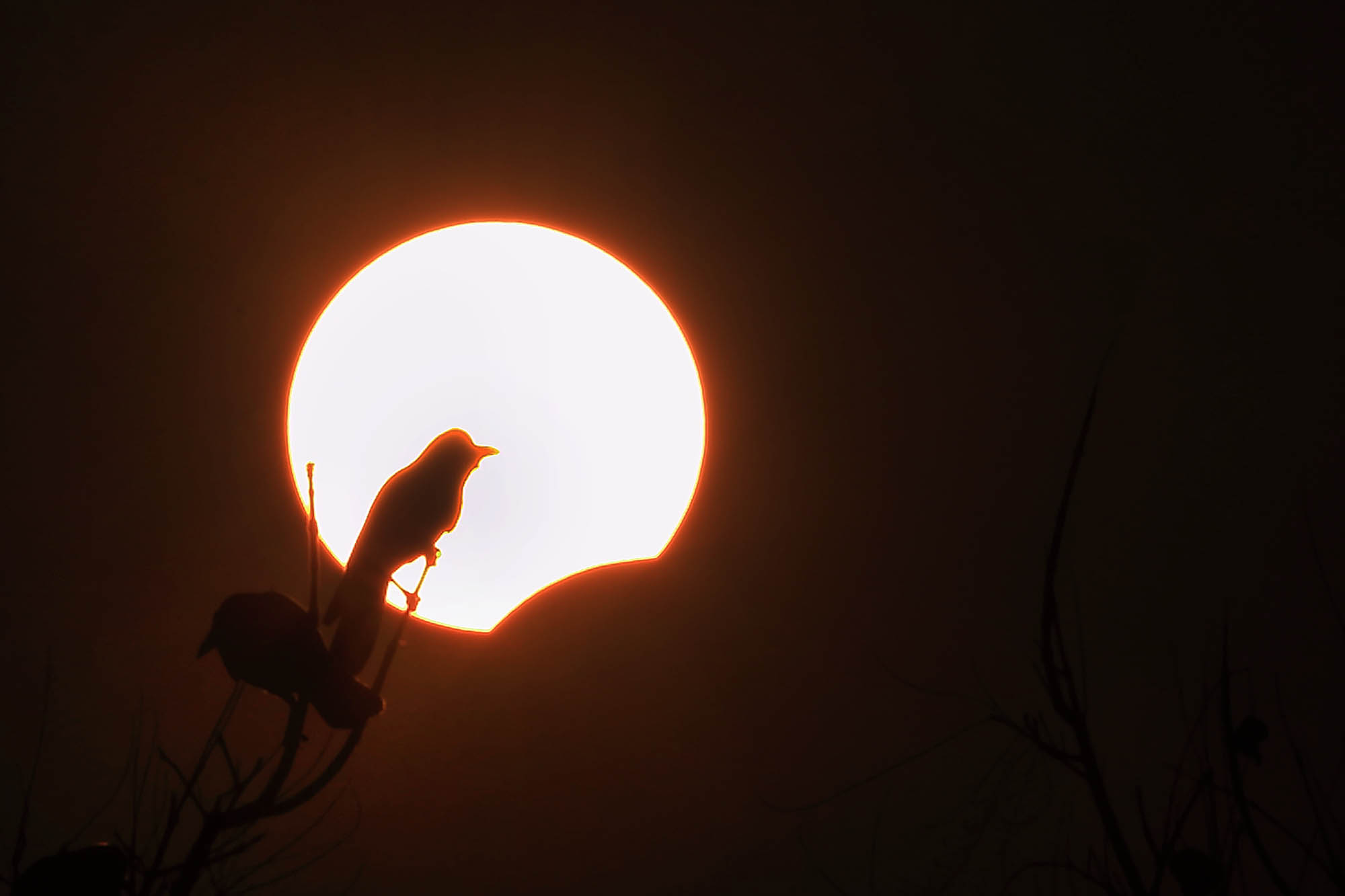 Partial solar eclipse witnessed from Nepal