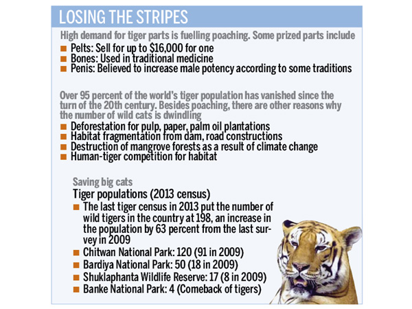 ‘Doubling tiger nos in 6 yrs possible’