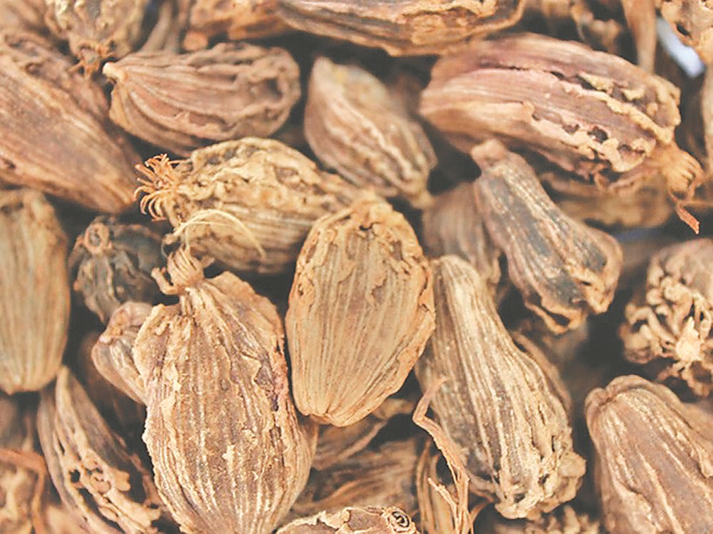 Everest Big Cardamom brand to be registered
