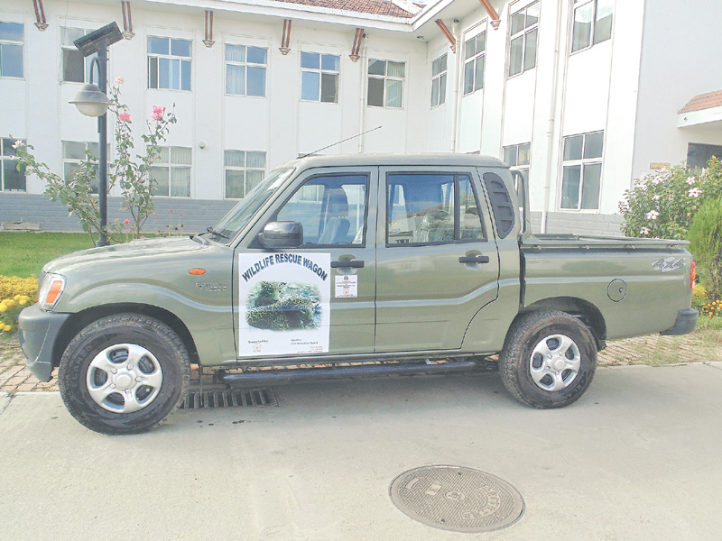 DFO vehicle on standby for wildlife rescue