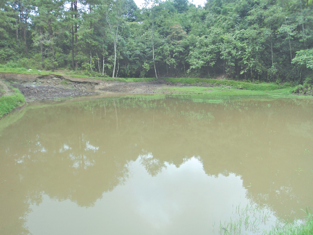 Kavre villagers start wetland conservation drive