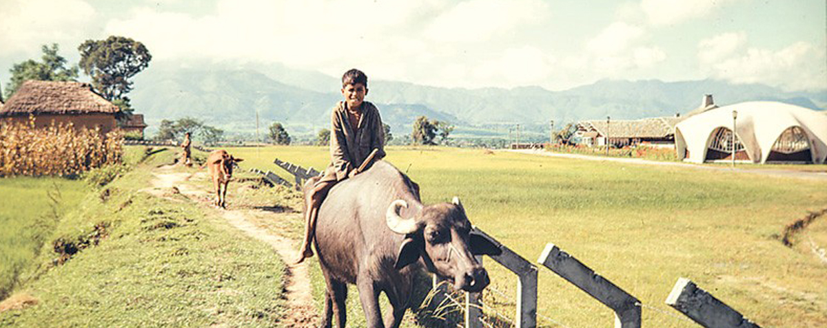 1965: Snapshots of a bygone era