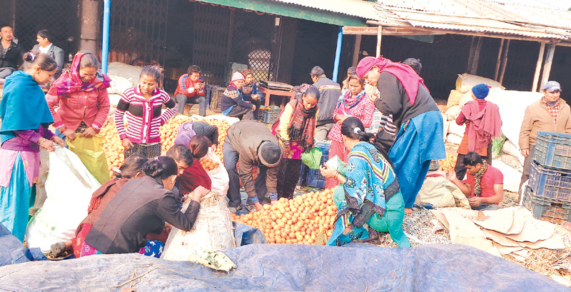 Agro Exports From Eastern Hills Could Hit Rs 4 5b