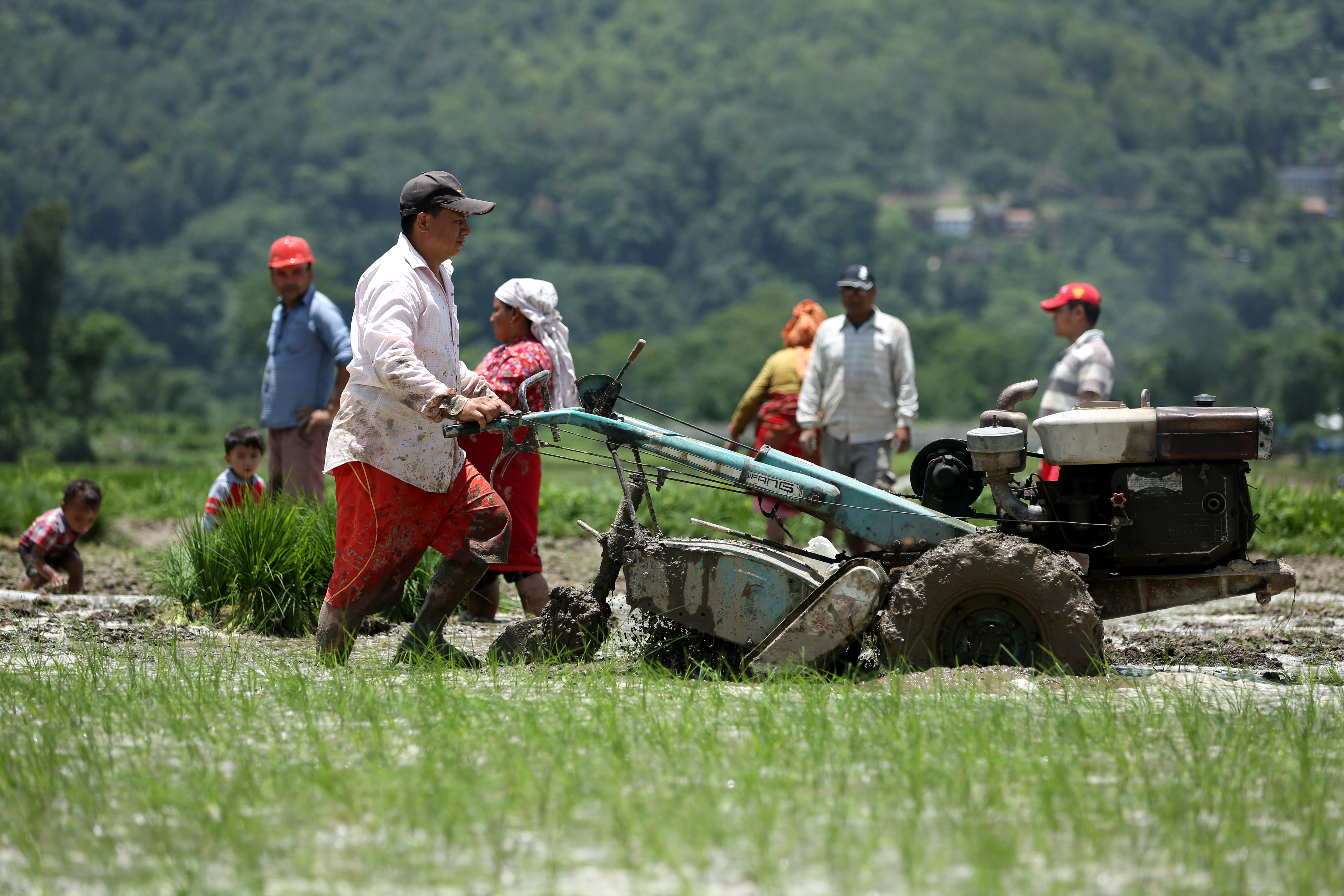 Asar Pandra observed (with photos)