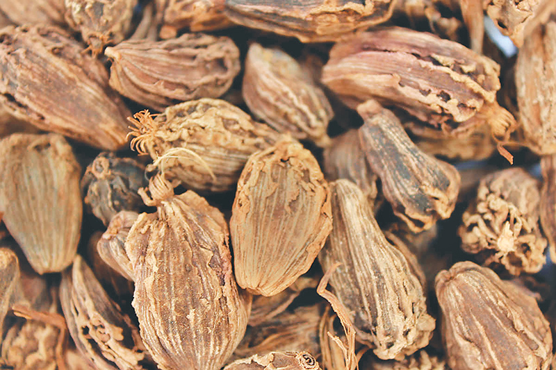 Cardamom trading falls as price plunges 50pc