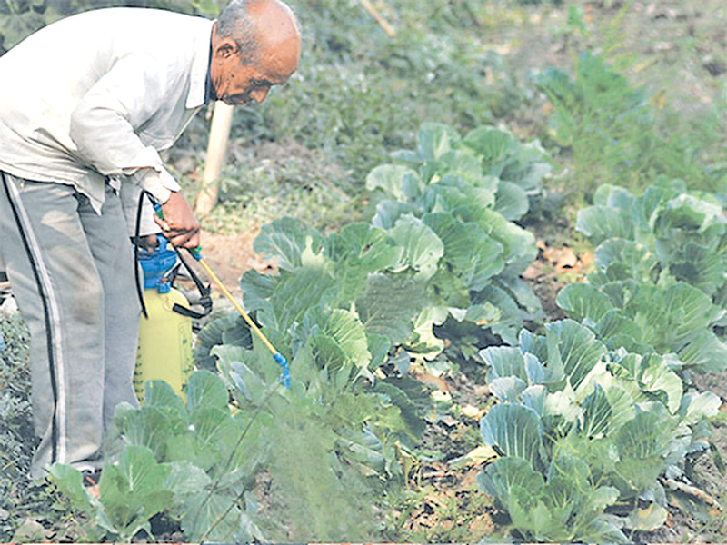 6 more pesticide testing labs to be established