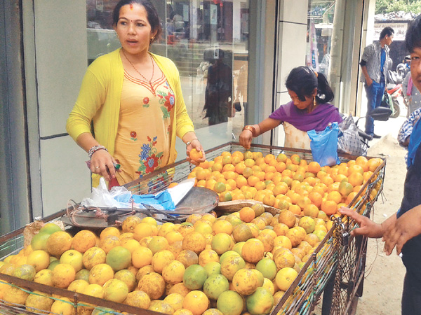 Sweet orange farmers get a taste of success