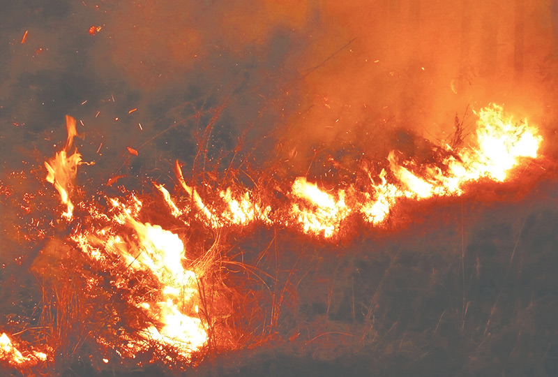 Forest fire in Tansen yet to be contained