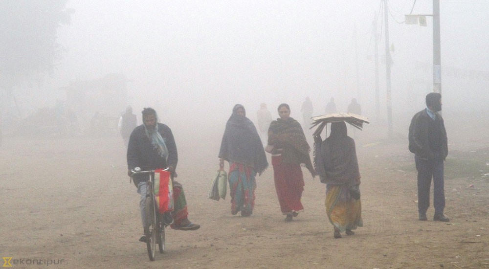 Cold wave affects life in central Tarai