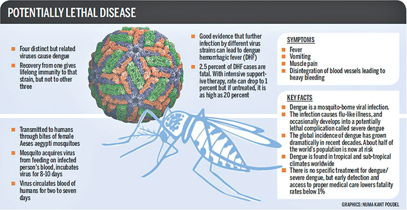 Dengue and malaria detected in high hills