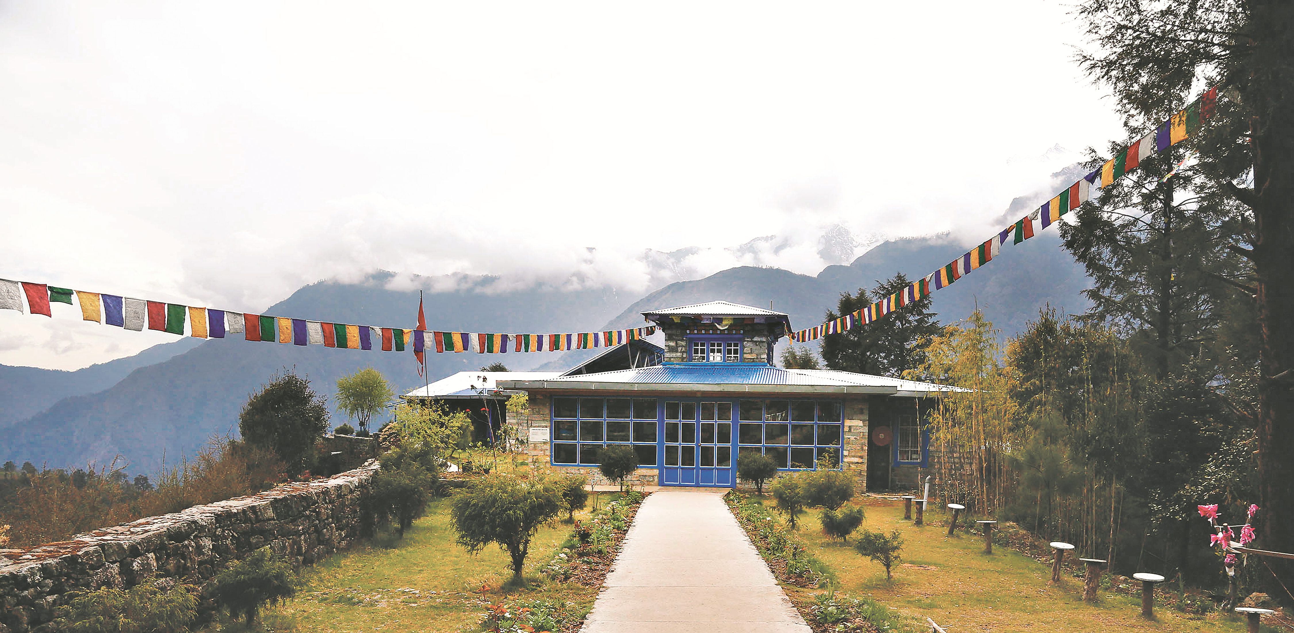 Mountain medicine