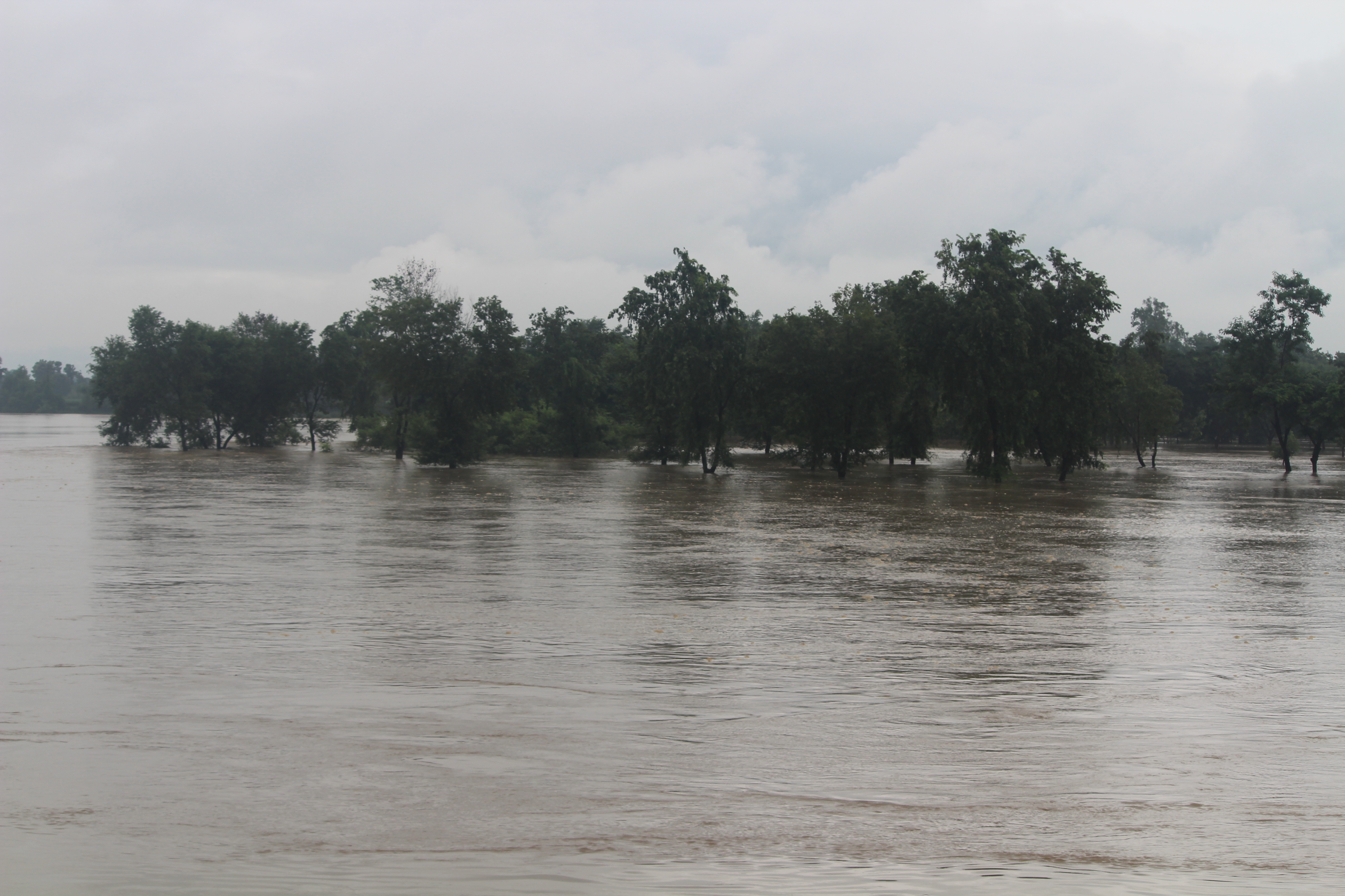 Land purchased by NOC in Bhairahawa inundated
