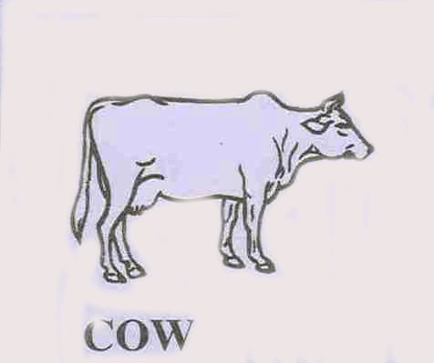 RPP adopts cow as election symbol