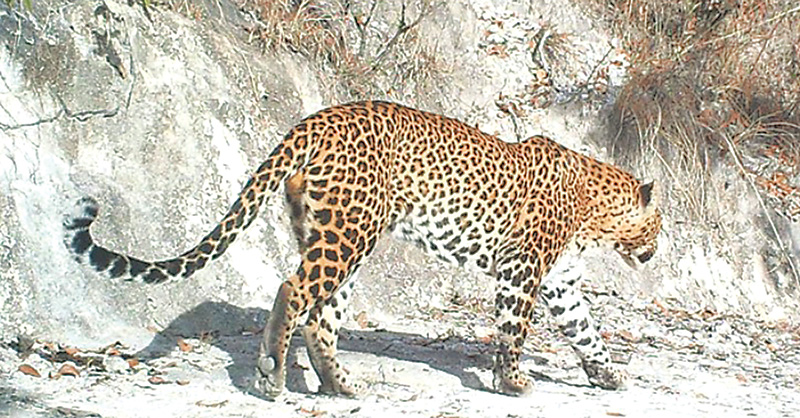 Shivapuri most visited nat’l park