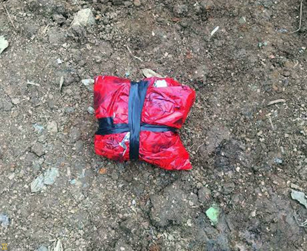 NA men defuse explosive device at NC candidate’s house