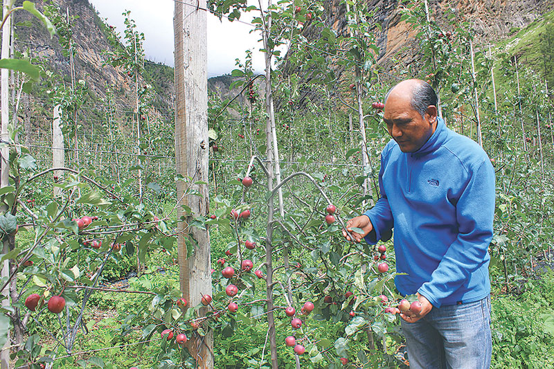 Single farm to grow Rs50m worth of apples