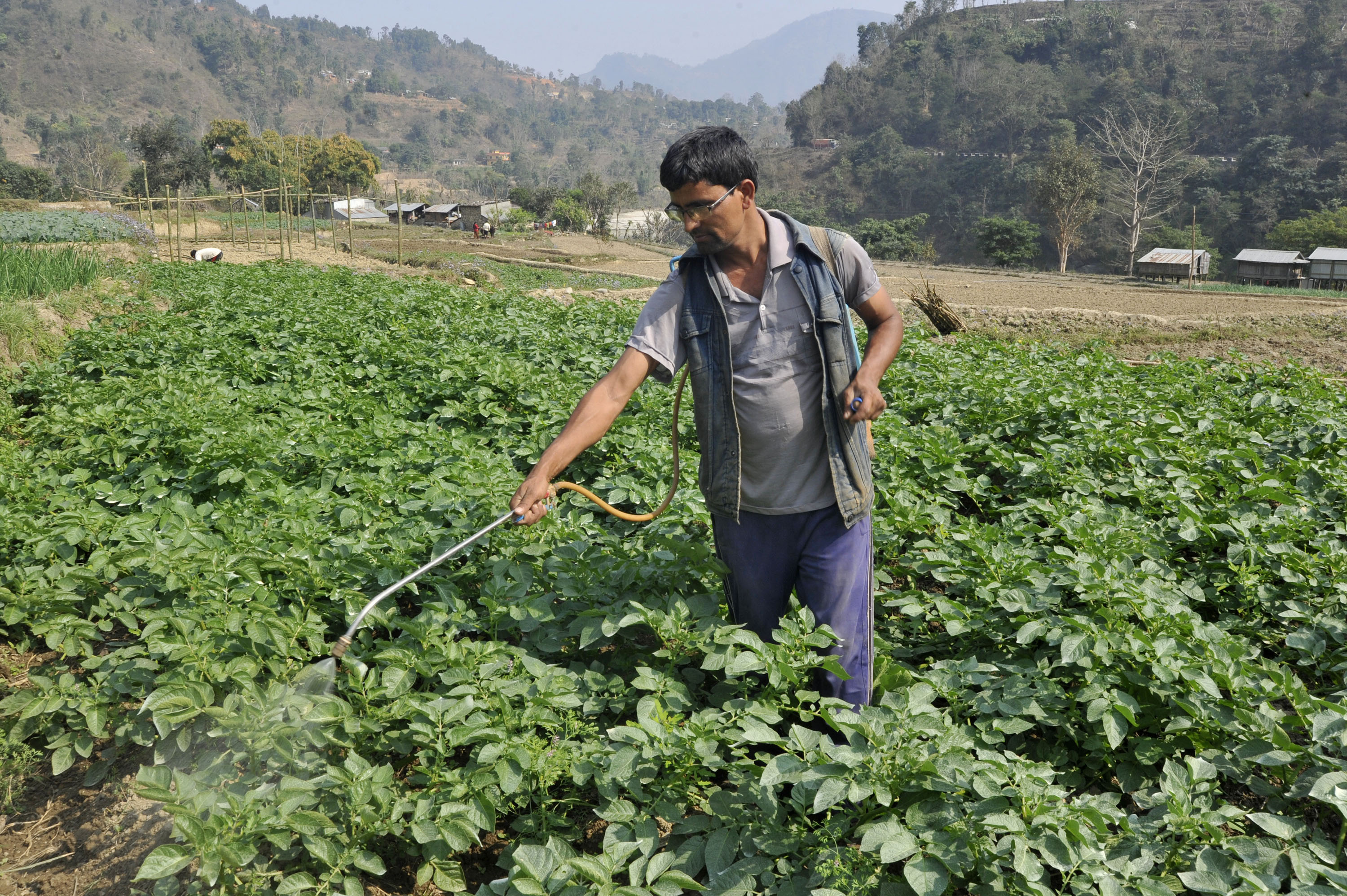10yr PM agro programme launched in Dhading