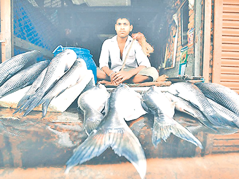 Bara to be developed into fishery hub