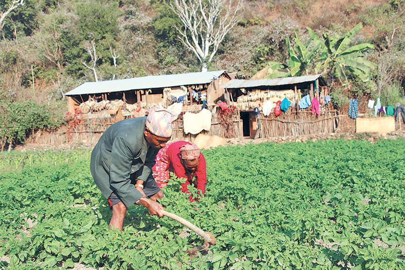 Dhading’s Kumal community yet to receive housing rebuilding aid