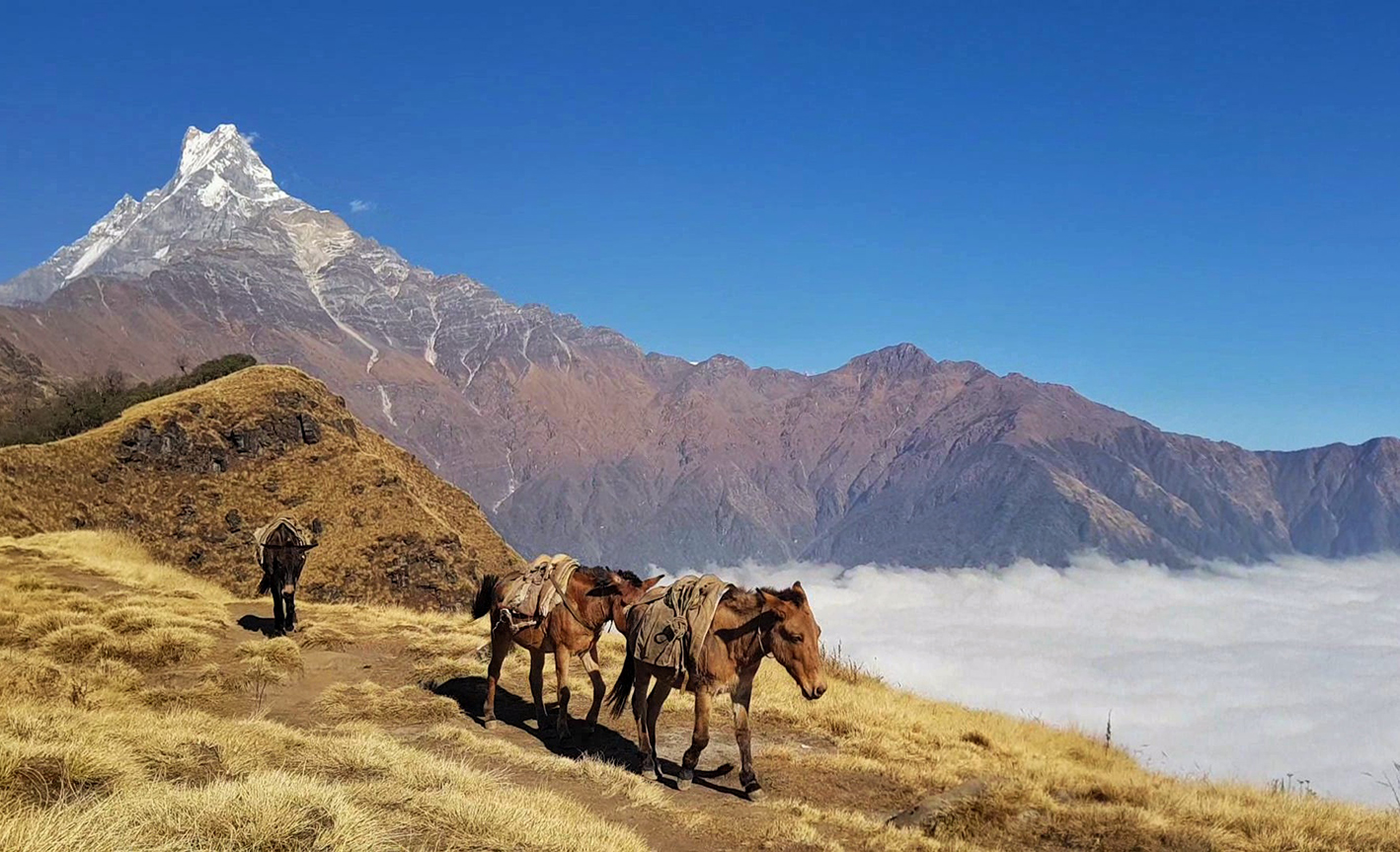 Where Will Nepali Travellers Explore Here Are The Top 10 Destinations Where Will Nepali Travellers Explore Here Are The Top 10 Destinations