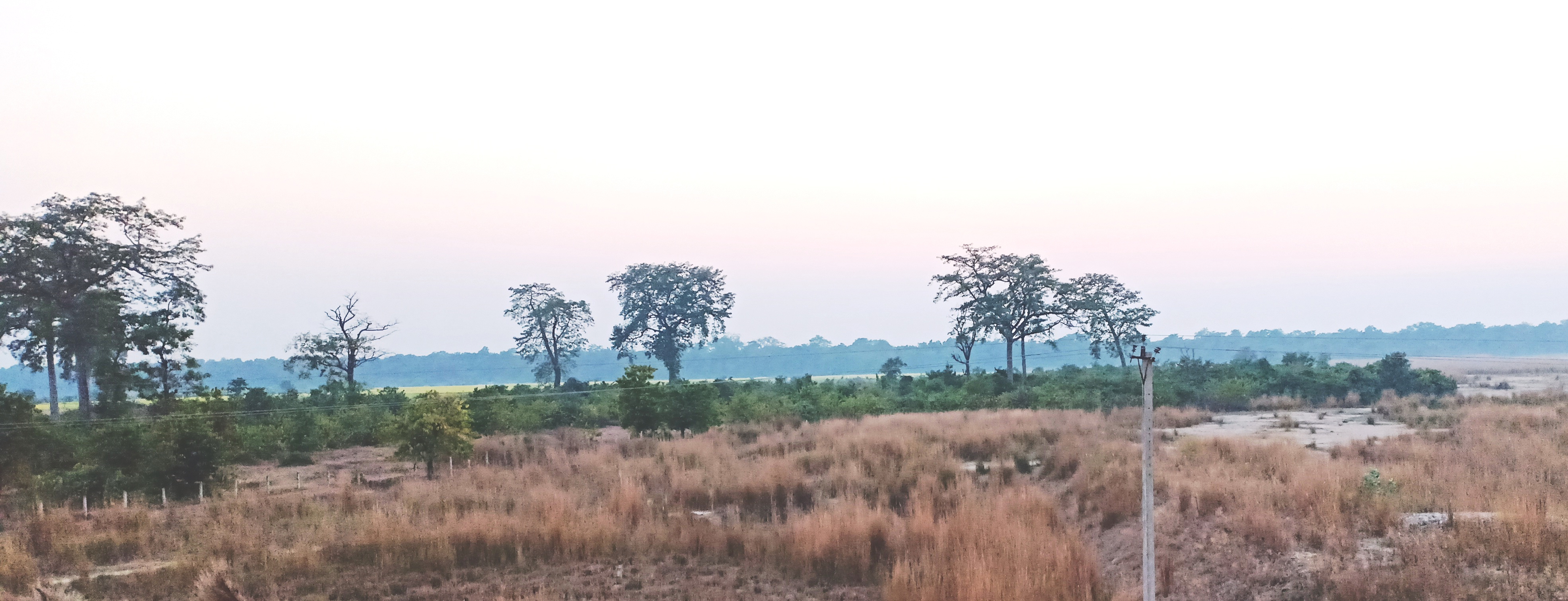 Conservationists hail success of Parsa-Chitwan bio-corridor