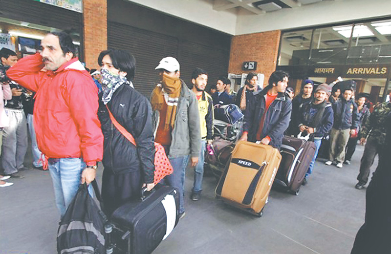 Government bid to use migrant workers’ skills