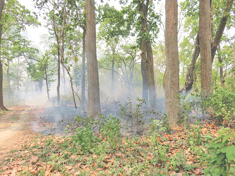 Forest fire spirals out of control