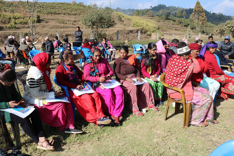 Nepal to use brand new logo to promote tea abroad