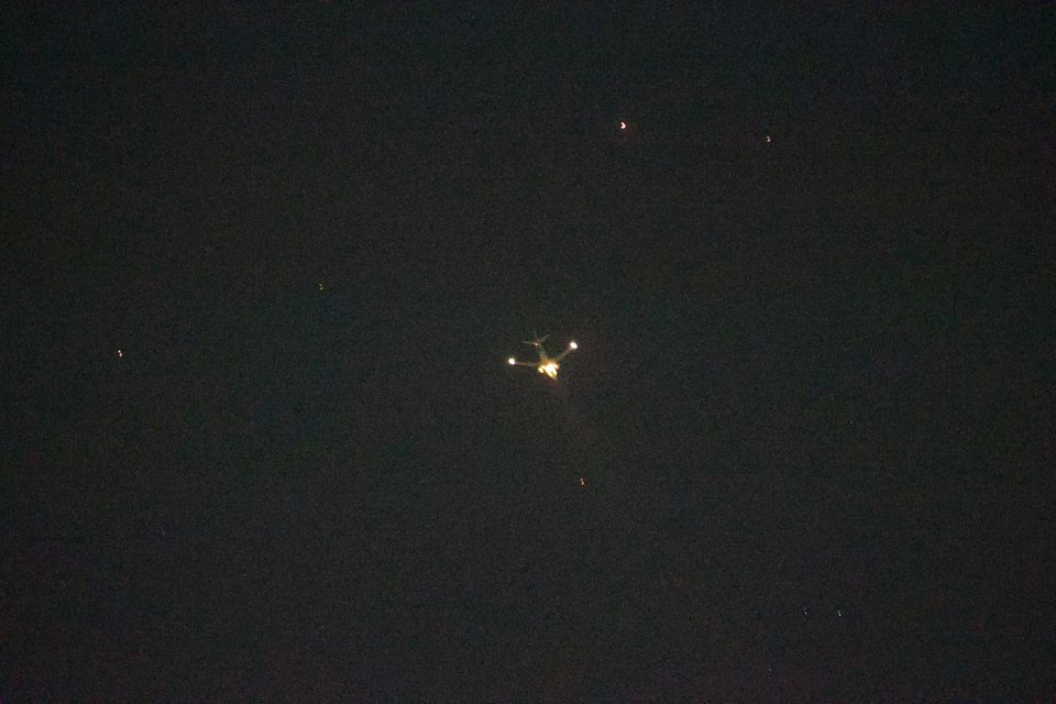 Flydubai aircraft 'suffers bird strike', lands safely in Dubai