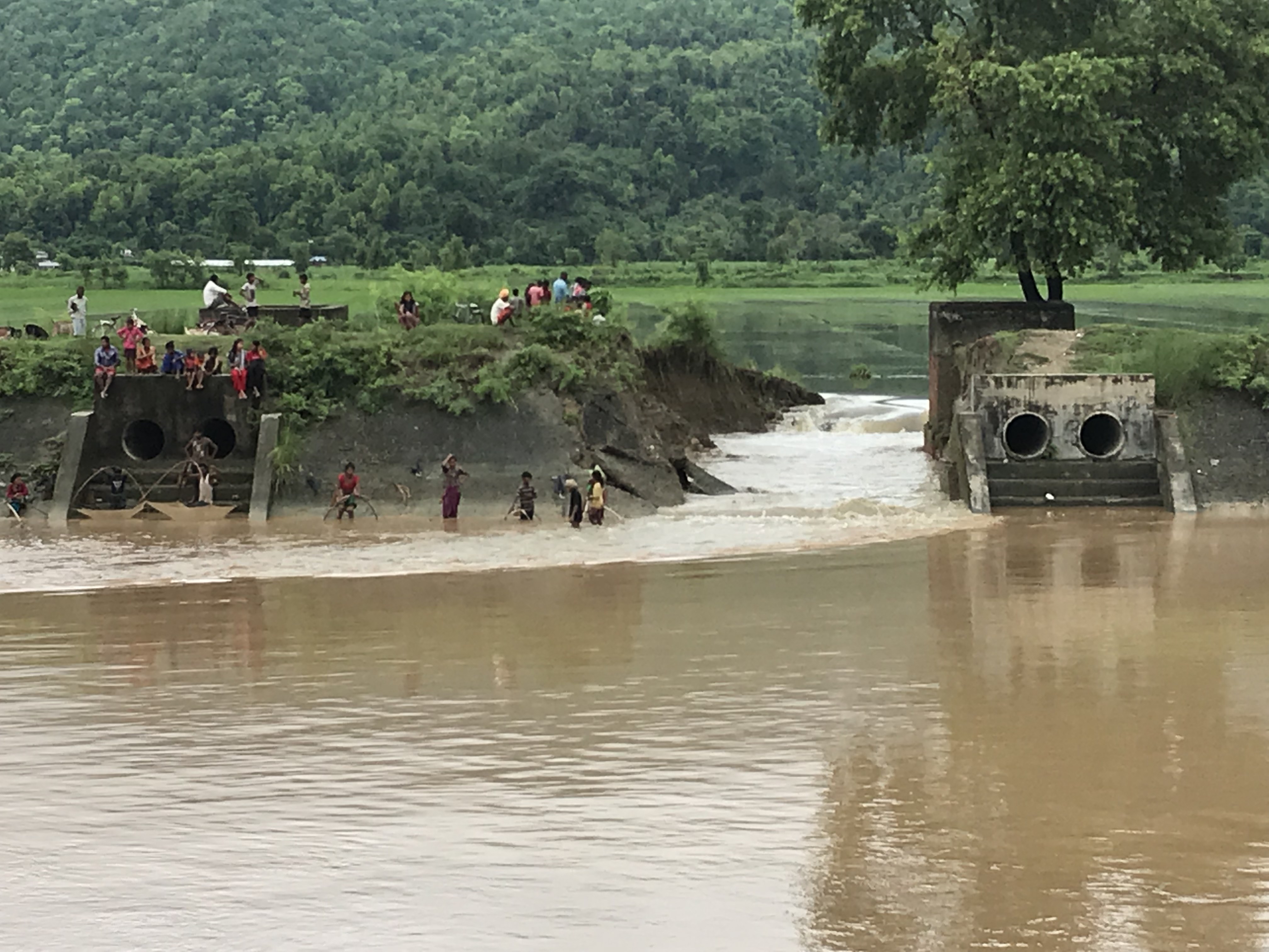 Susta locals break Gandak canal’s wall to drain floodwaters