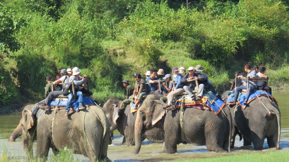 Tourist arrivals to Chitwan reach all-time high of 185,644