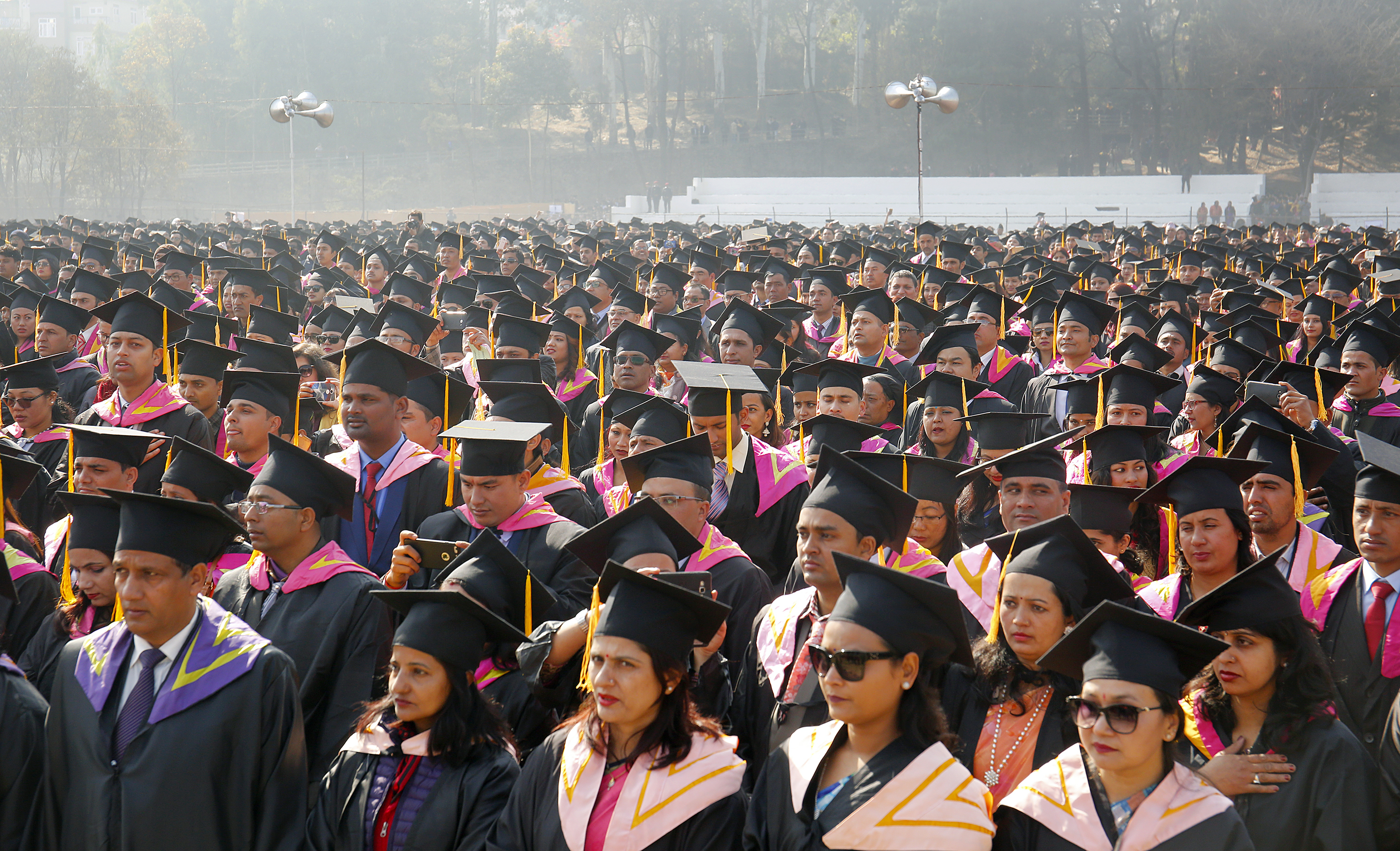 Cultivating intellectual curiosity