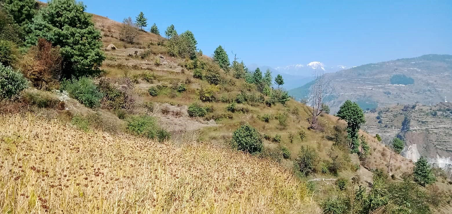 Bajhang and Baitadi reel under acute food insecurity