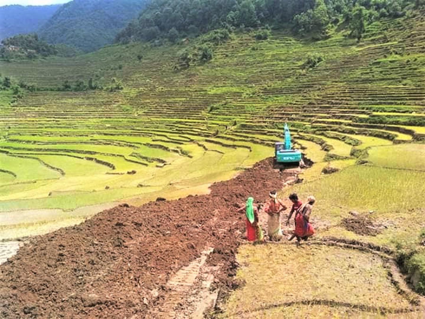 Road stretch opened through the fields prepared for paddy plantation