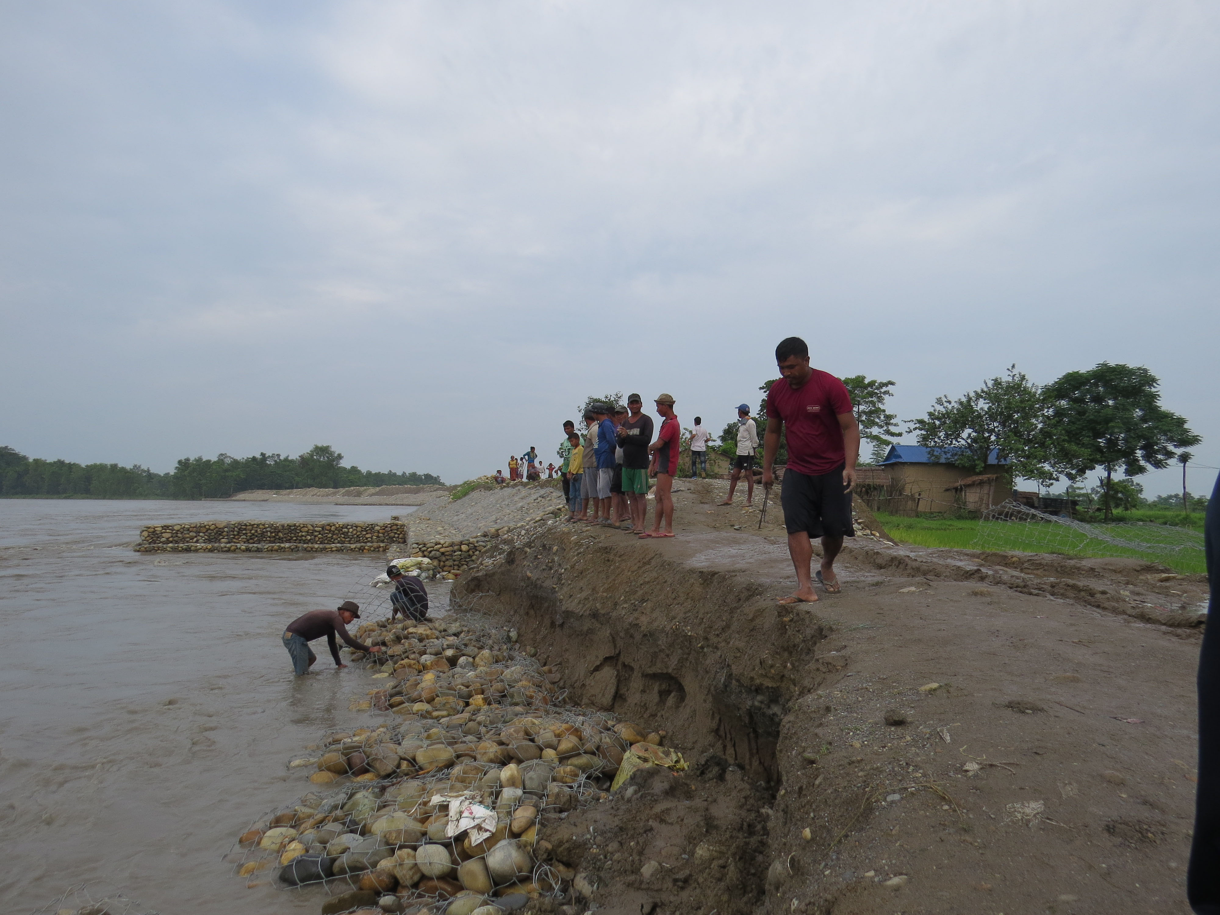 Construction of embankments along Narayani, Rapti rivers at snail’s pace