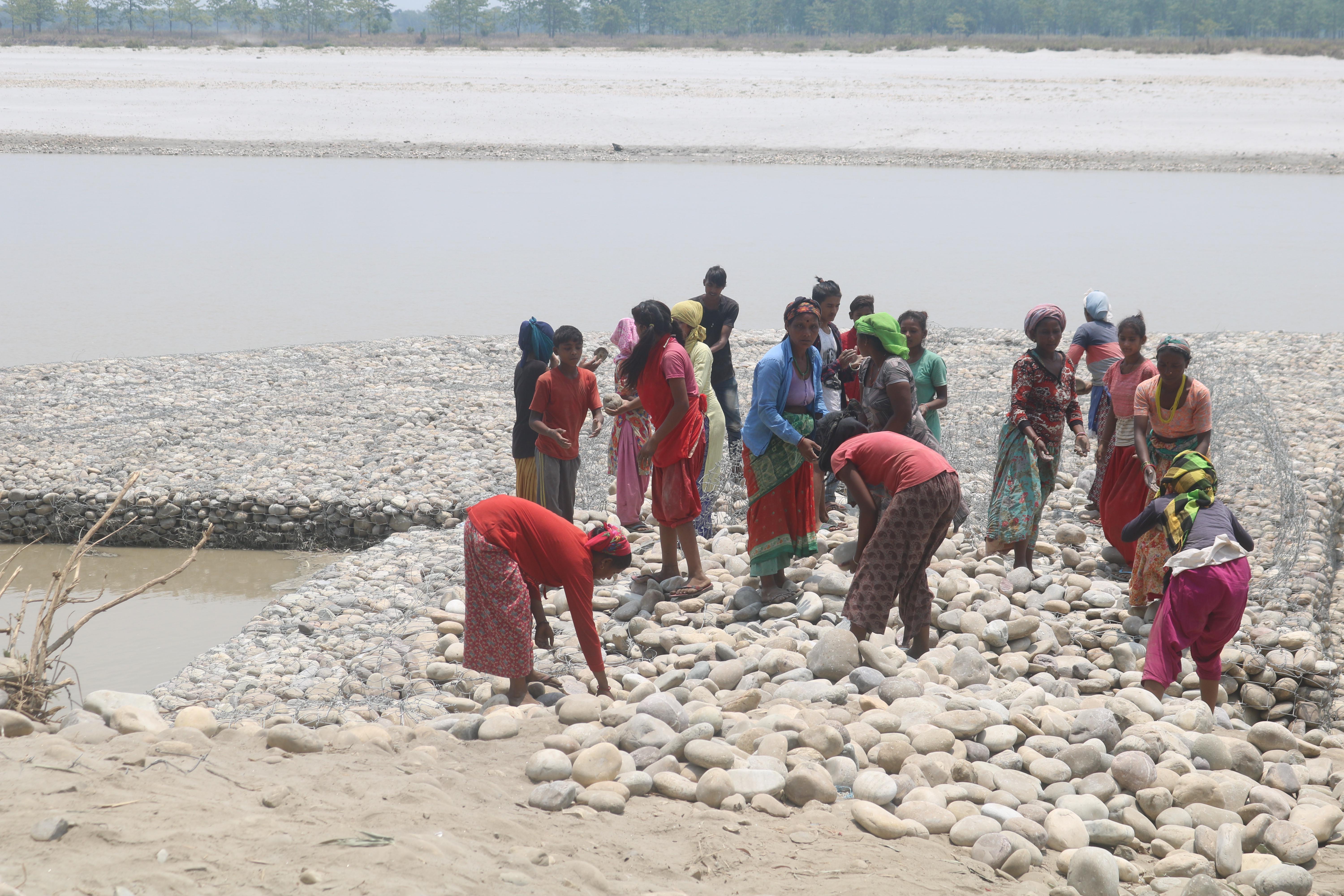 Women join hands to construct embankment in Mahakali River