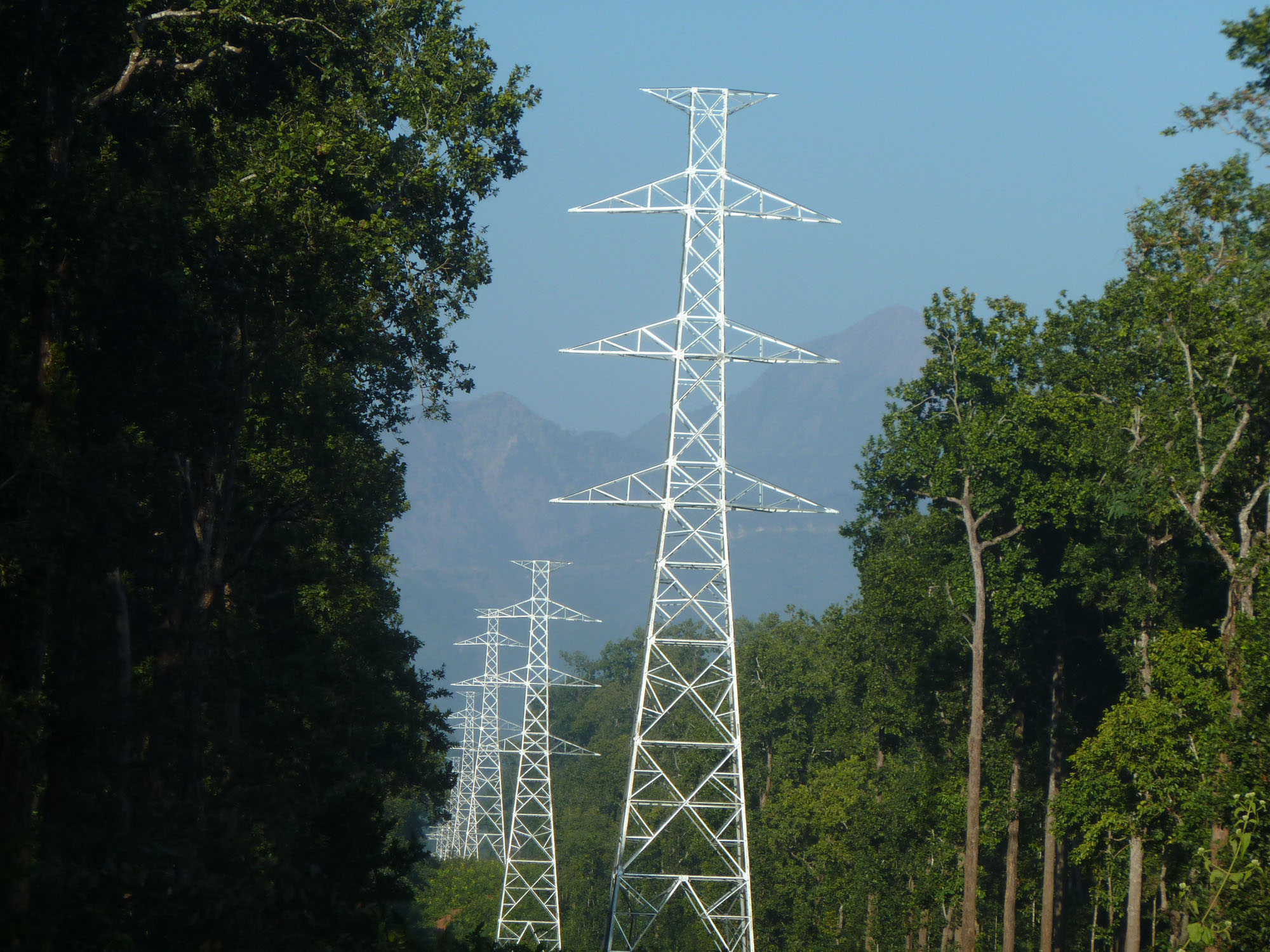 Land acquisition and forest clearance issues delay transmission line ...
