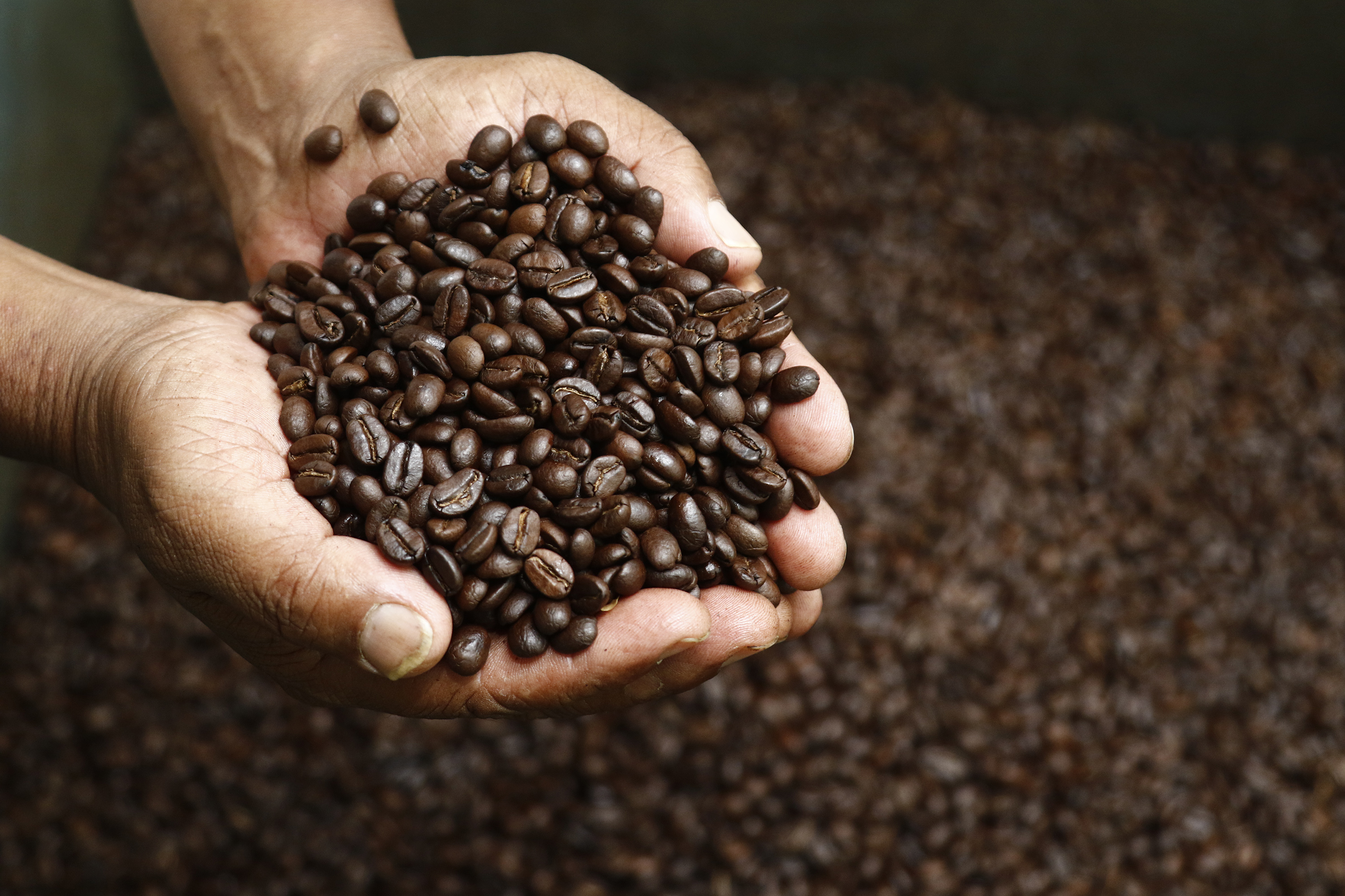 Coffee sector performing below potential due to archaic ways
