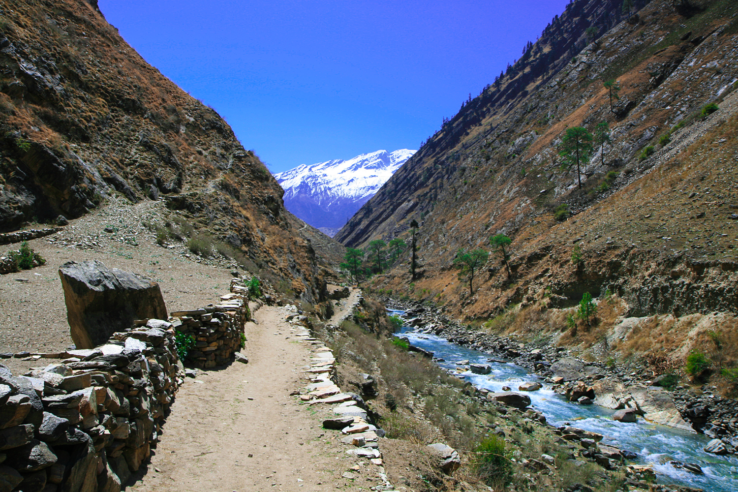 Politics of the Dolpo festival
