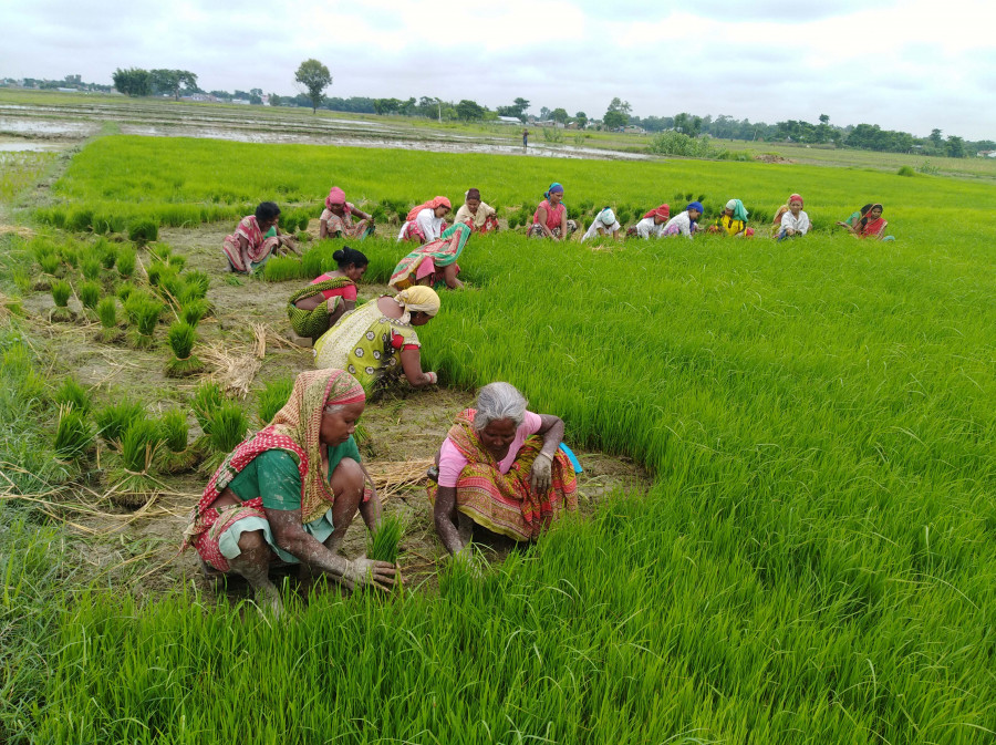 Policies and programmes for fiscal 2020-21 focus on boosting the ...