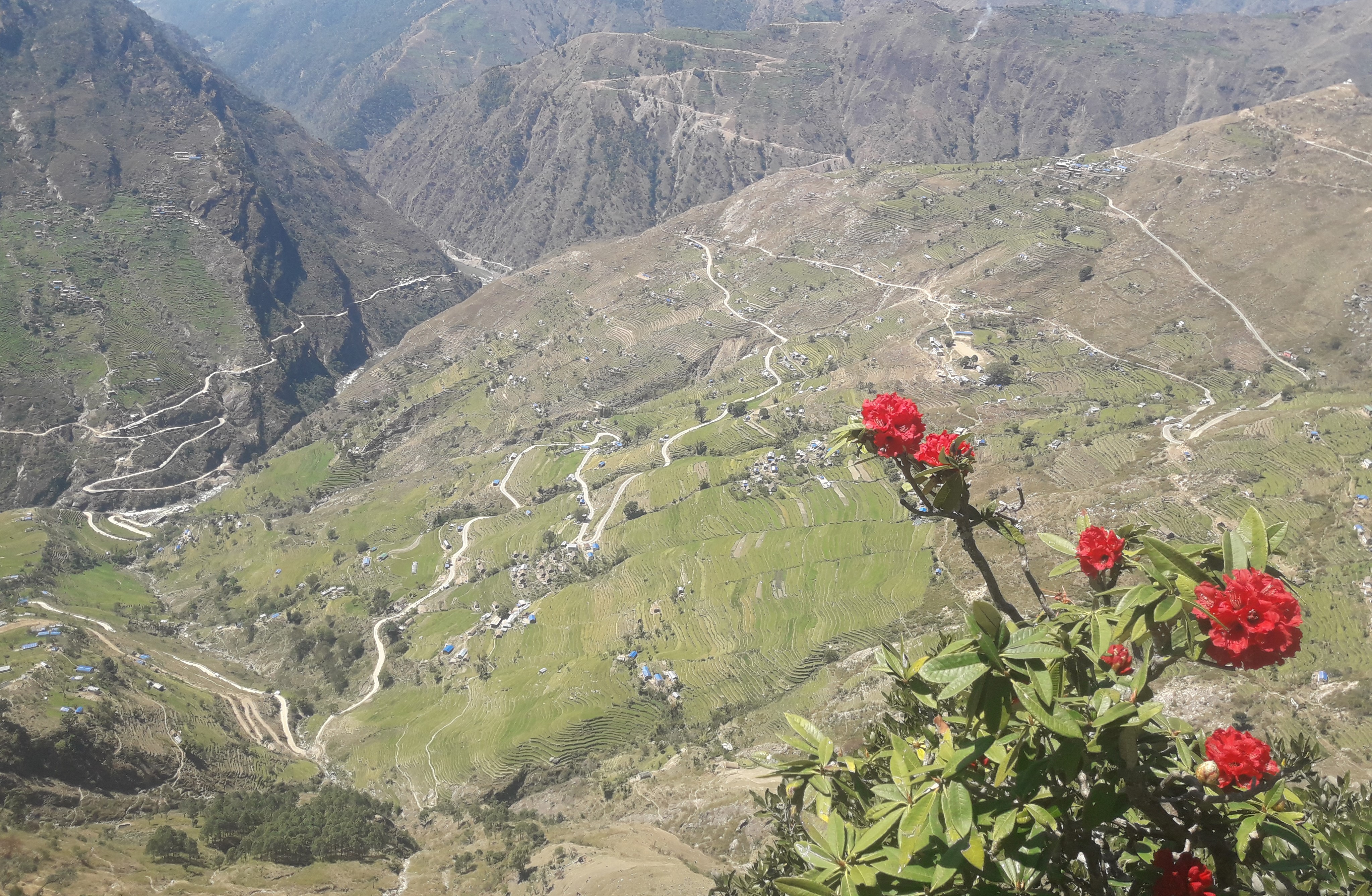 Kalikot district administration says it has set up a 619-bed strong ...