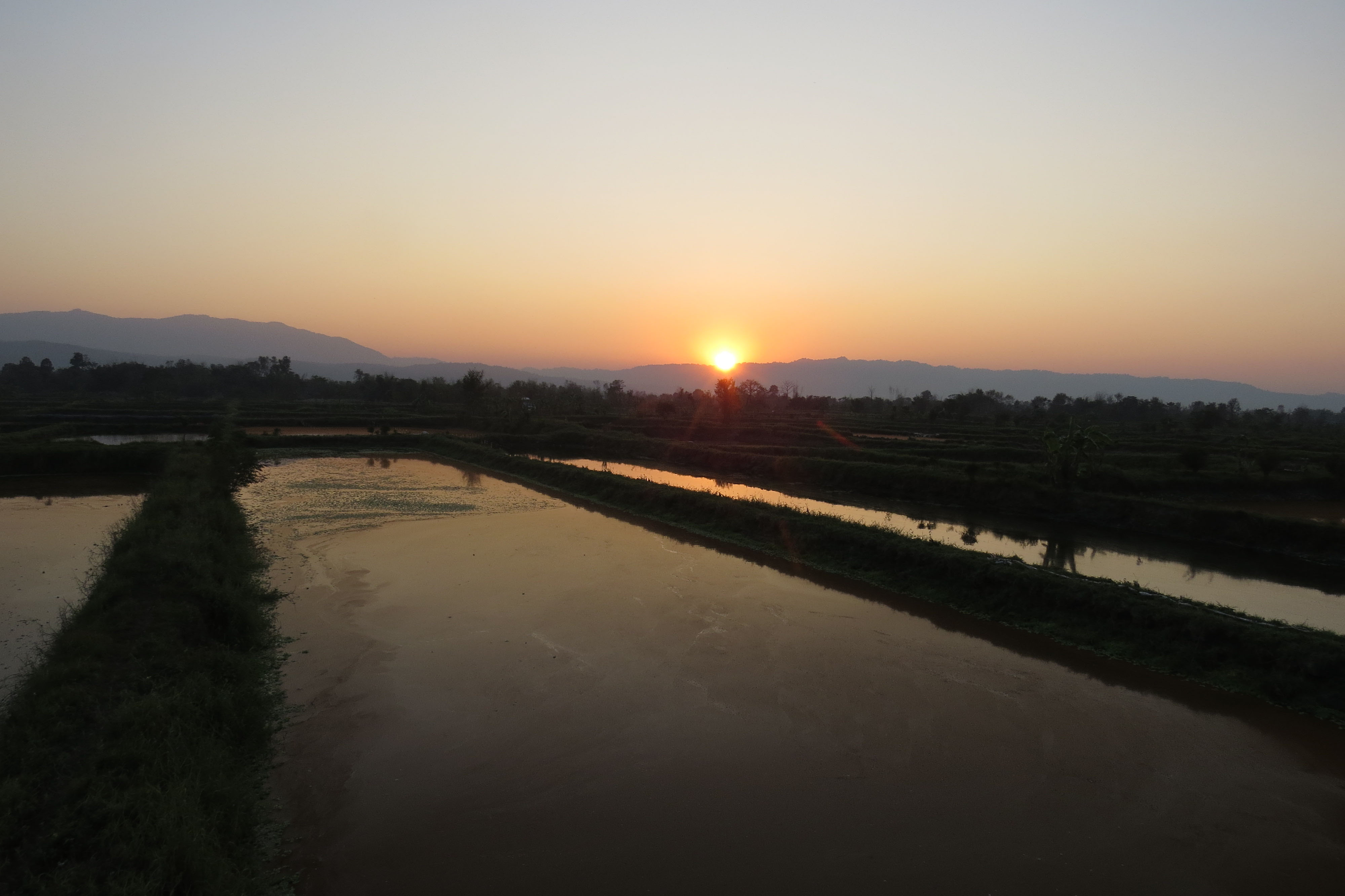 Farmers in Chitwan’s Madi turn to fishery to avoid wildlife incursions