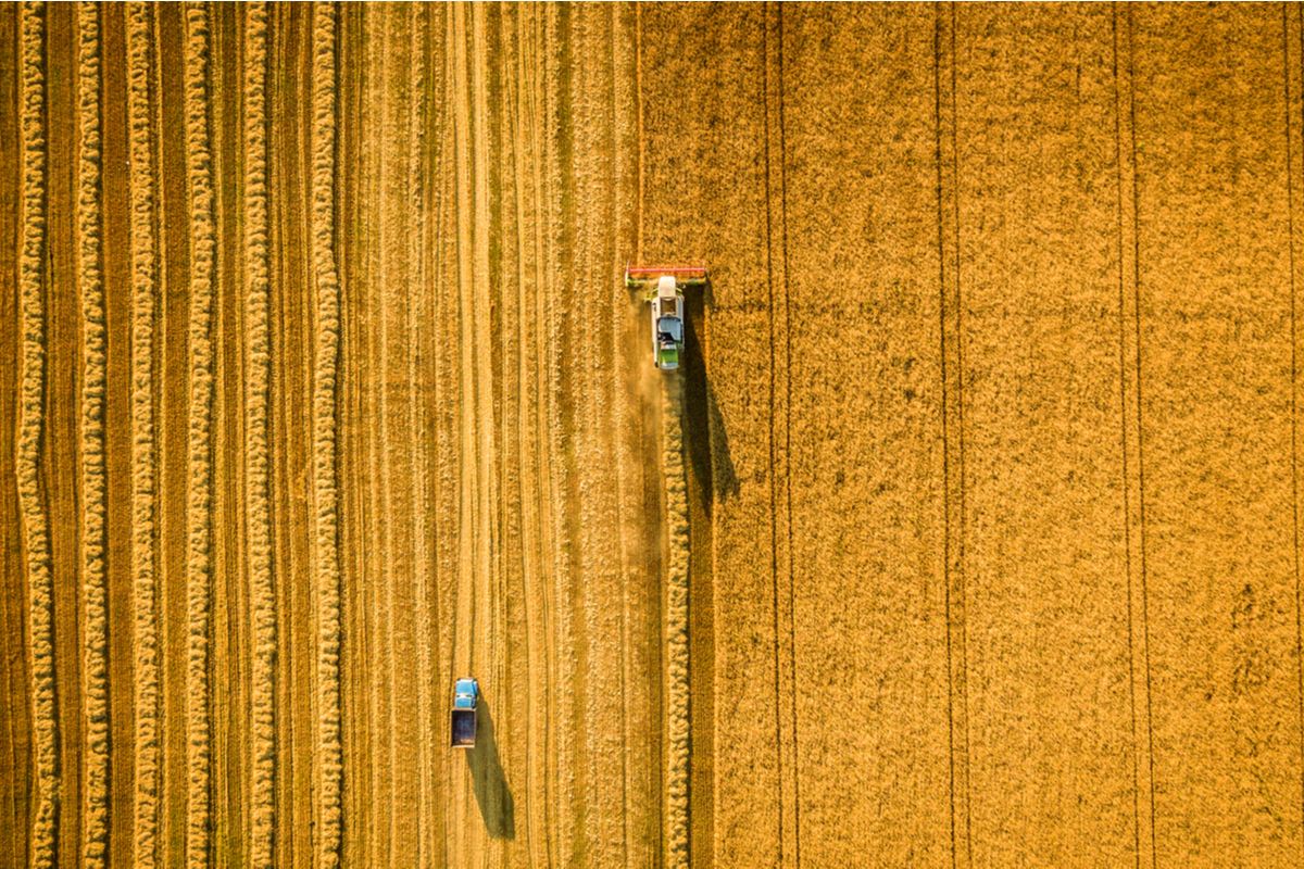 The Global Food System Isn t Working
