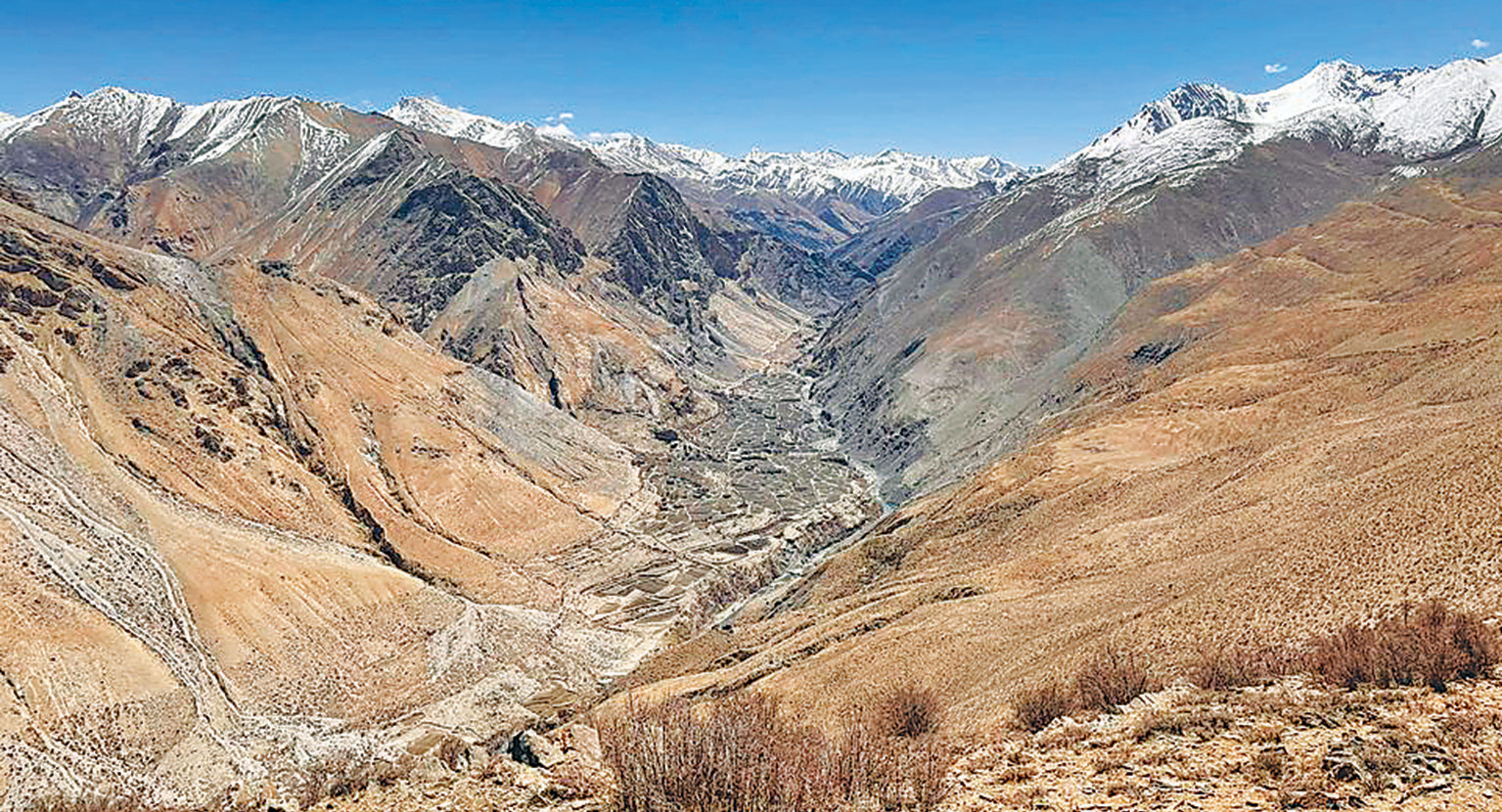 Ban on yarsagumba collection worries Karnali residents